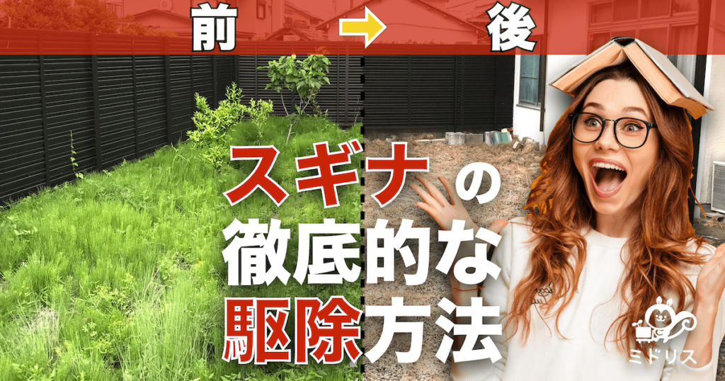 除草剤でスギナを駆除する3手順とおすすめの商品12選を解説 | ミドリス｜雑草対策クラピアの販売・施工
